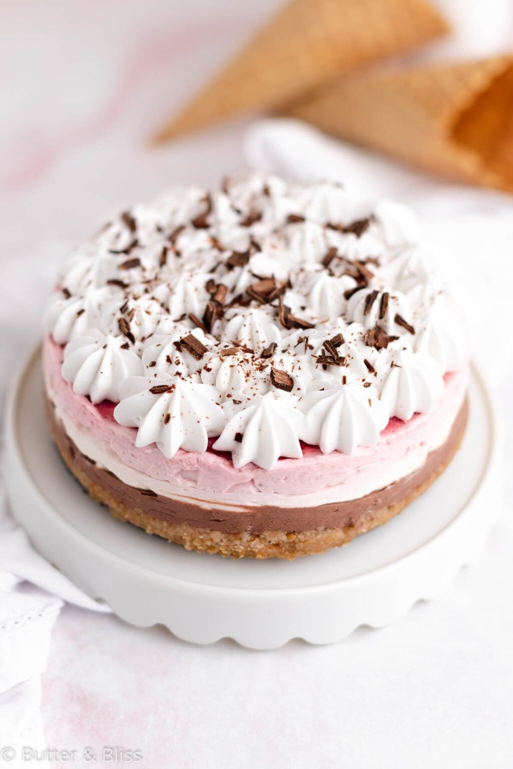 Neapolitan No-Bake Mini Cheesecake