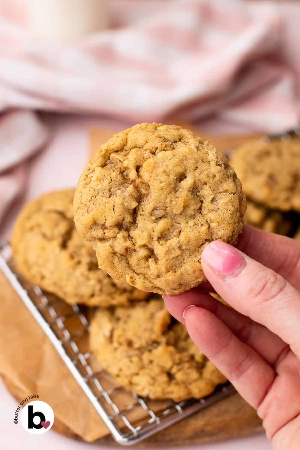 Chewy Small Batch Oatmeal Cookies